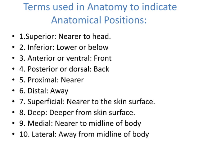 BASIC HUMAN ANATOMY AND.pptx