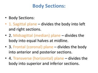 BASIC HUMAN ANATOMY AND.pptx