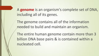Basic human genetics | PPT