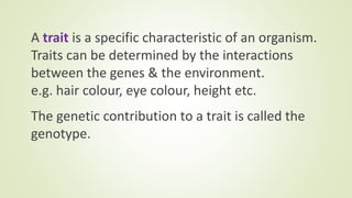 Basic human genetics | PPT