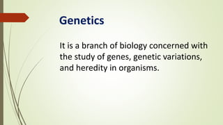 Basic human genetics | PDF