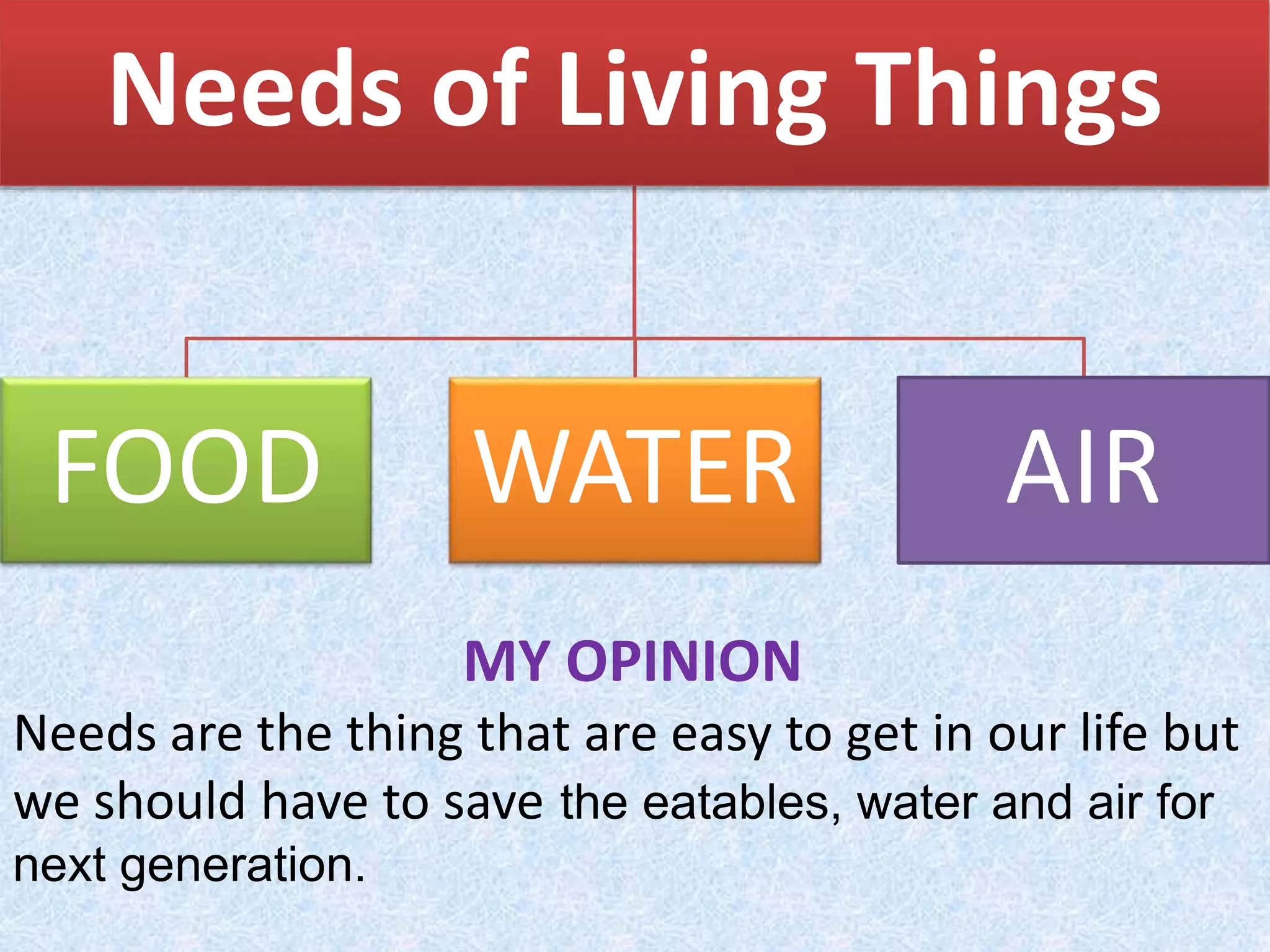 Basic human needs | PPSX