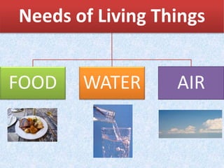 Basic human needs | PPSX