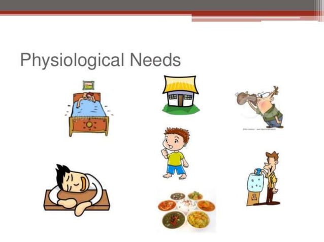 Basic human needs | PPT