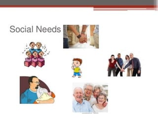 Basic human needs | PPT