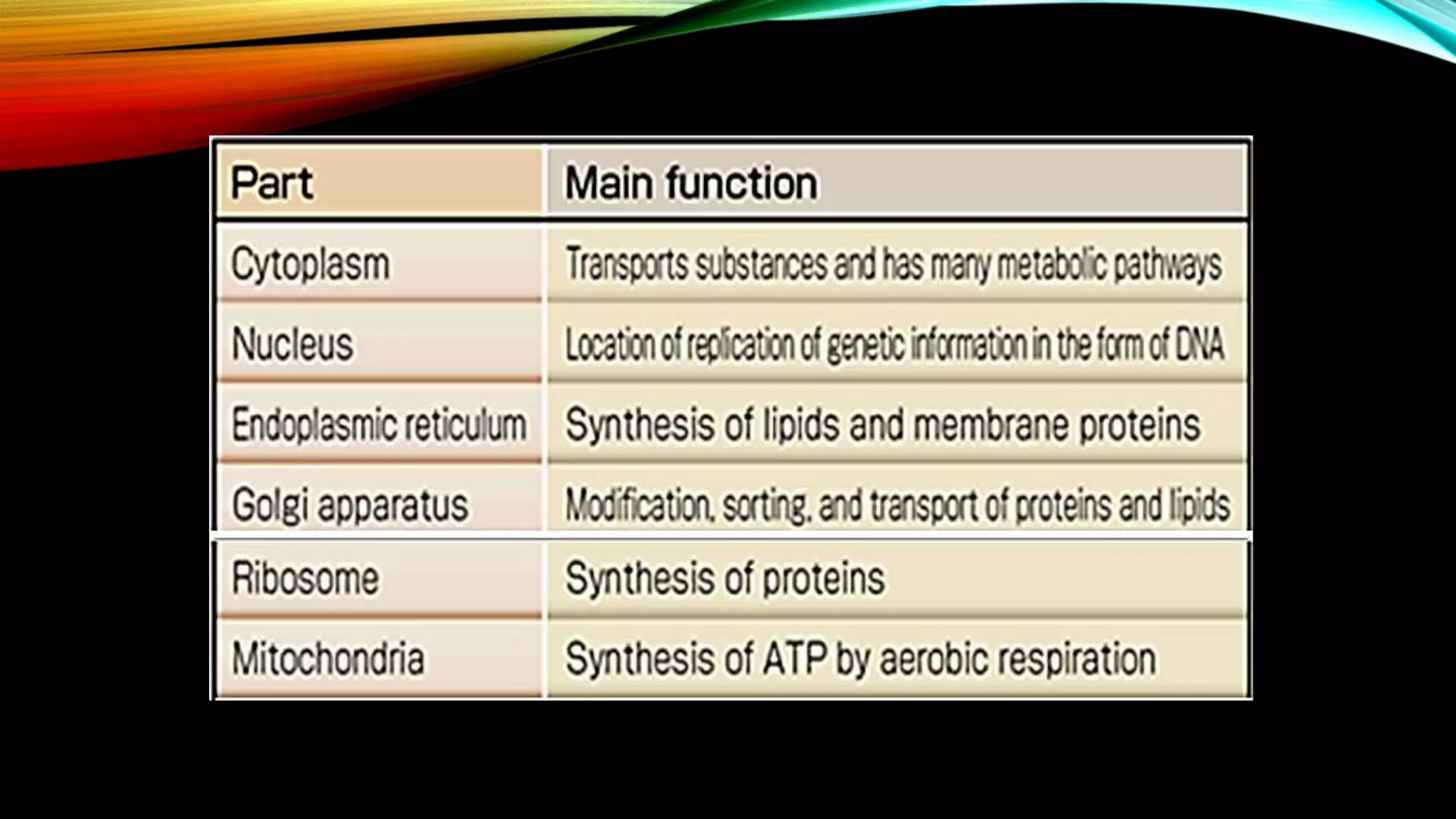 Basic human physiology | PPTX