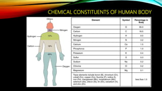 Basic human physiology | PPT