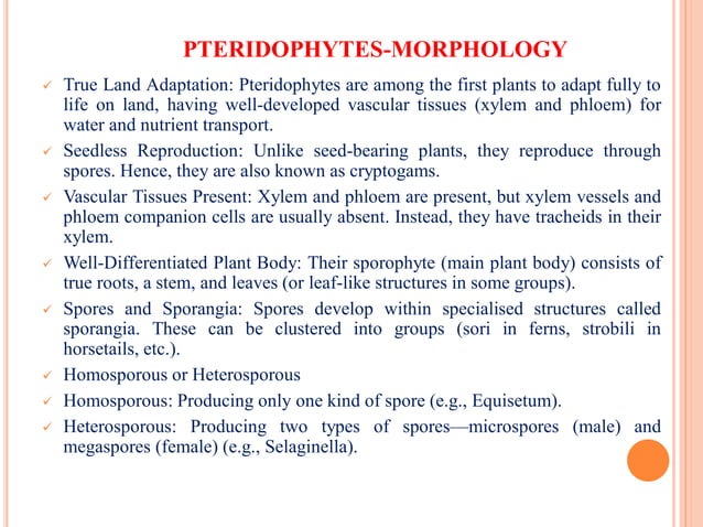 Basic idea about Cryptogams and Phanerogams with examples.pdf
