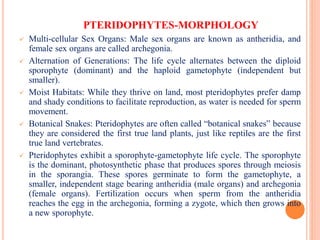 Basic idea about Cryptogams and Phanerogams with examples.pdf