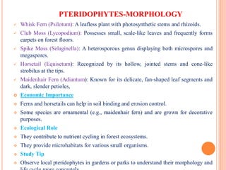 Basic idea about Cryptogams and Phanerogams with examples.pdf