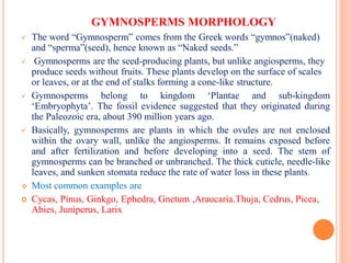 Basic idea about Cryptogams and Phanerogams with examples.pdf