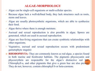 Basic idea about Cryptogams and Phanerogams with examples.pdf