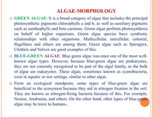 Basic idea about Cryptogams and Phanerogams with examples.pdf