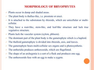 Basic idea about Cryptogams and Phanerogams with examples.pdf