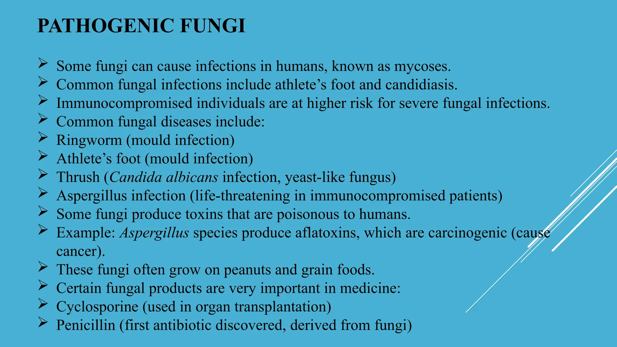 Basic Idea About Types Of Bacteria Virus Fungi | PPTX