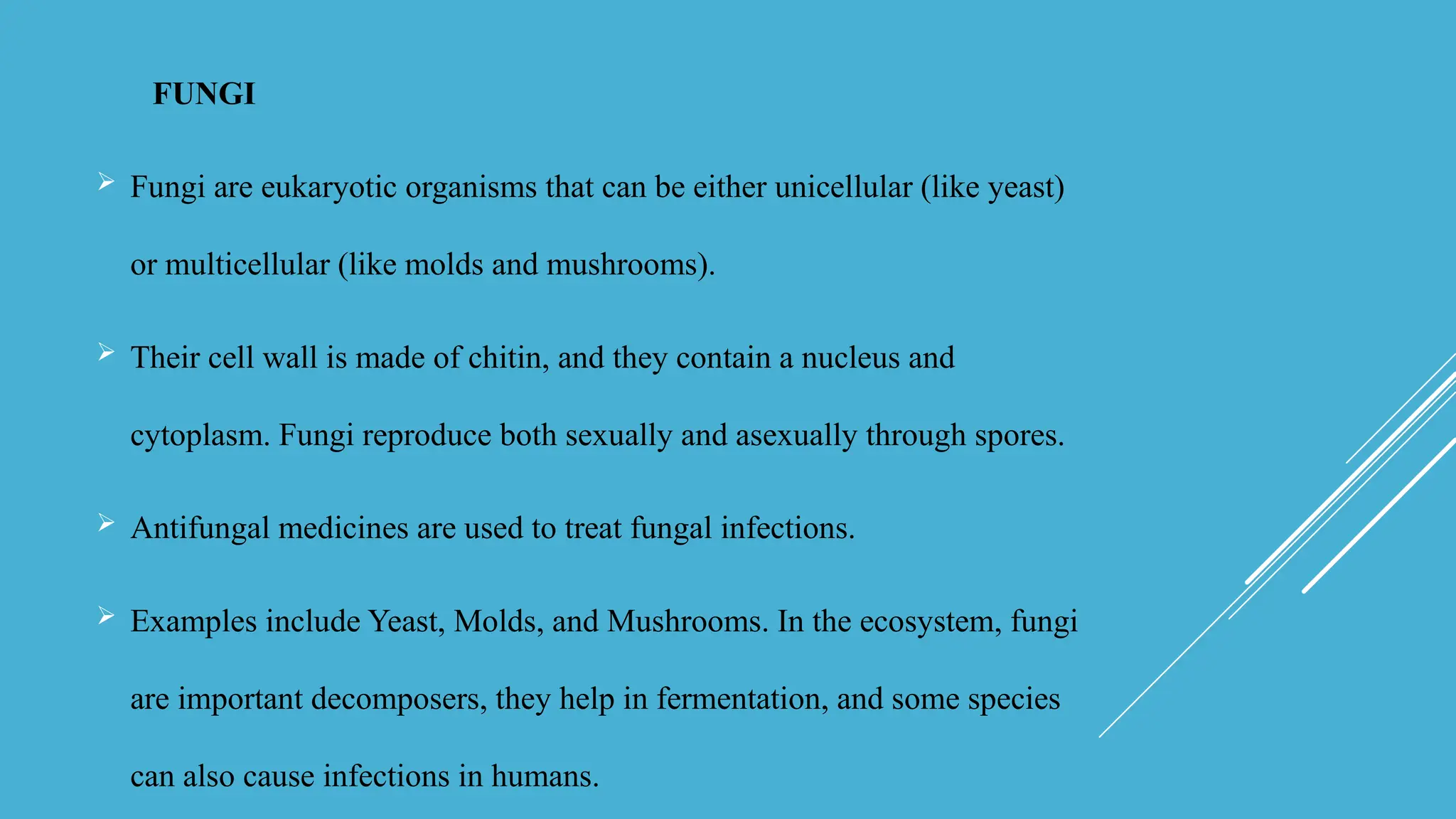 Basic Idea About Types Of Bacteria Virus Fungi | PPTX