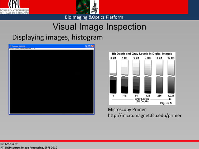 Basic image processing | PDF