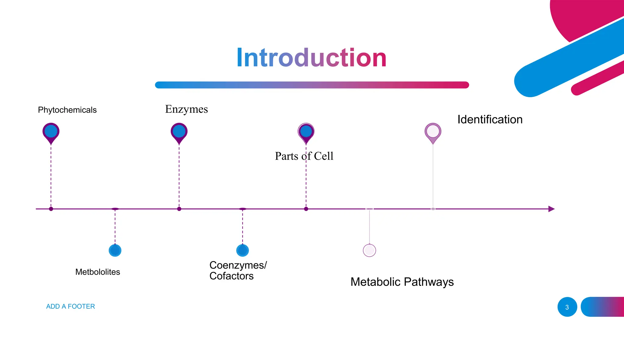 Basici Metabolic Pathways.pptx