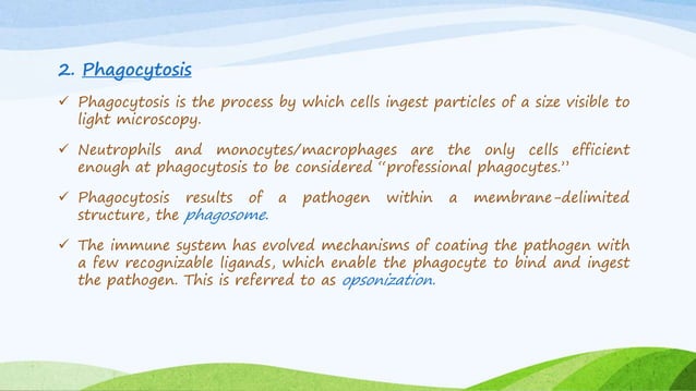 Basic immunity | PPT