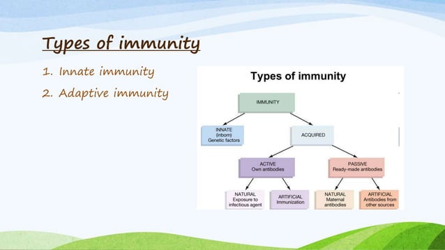 Basic immunity | PPT