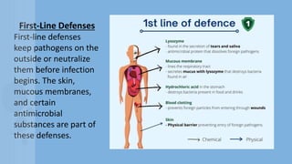 Basic Immunology and Defination Pharmacy .pptx