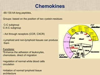 Basic Immunology, Innate immunity : inflamation, leukocyte, migration.pptx