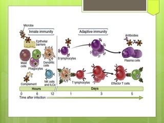 Basic immunology | PDF