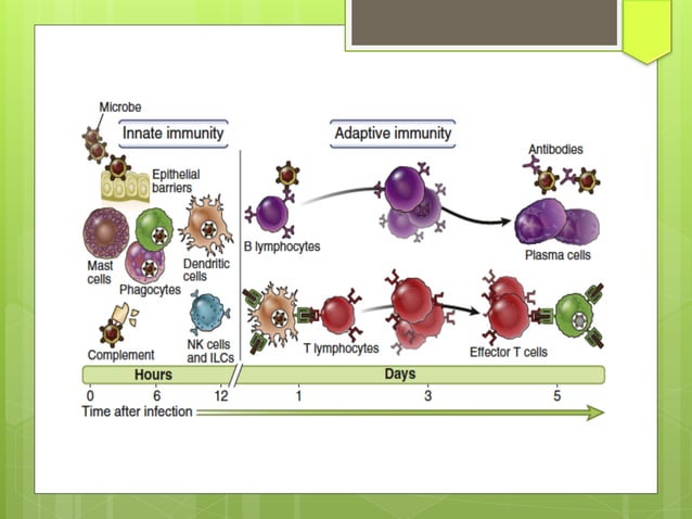 Basic immunology | PPT