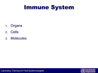 basic immunology lecture note second grade _en.p.ppt