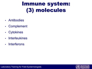 basic immunology lecture note second grade _en.p.ppt