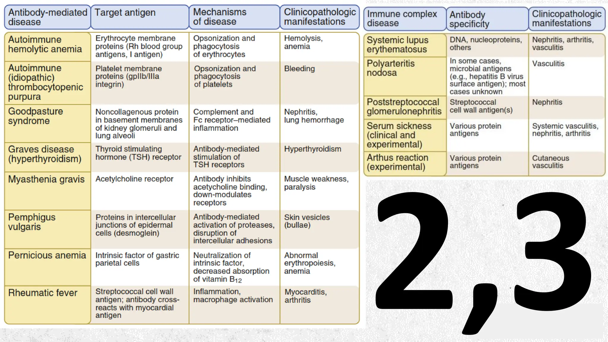 basic immunology for medical student.pdf