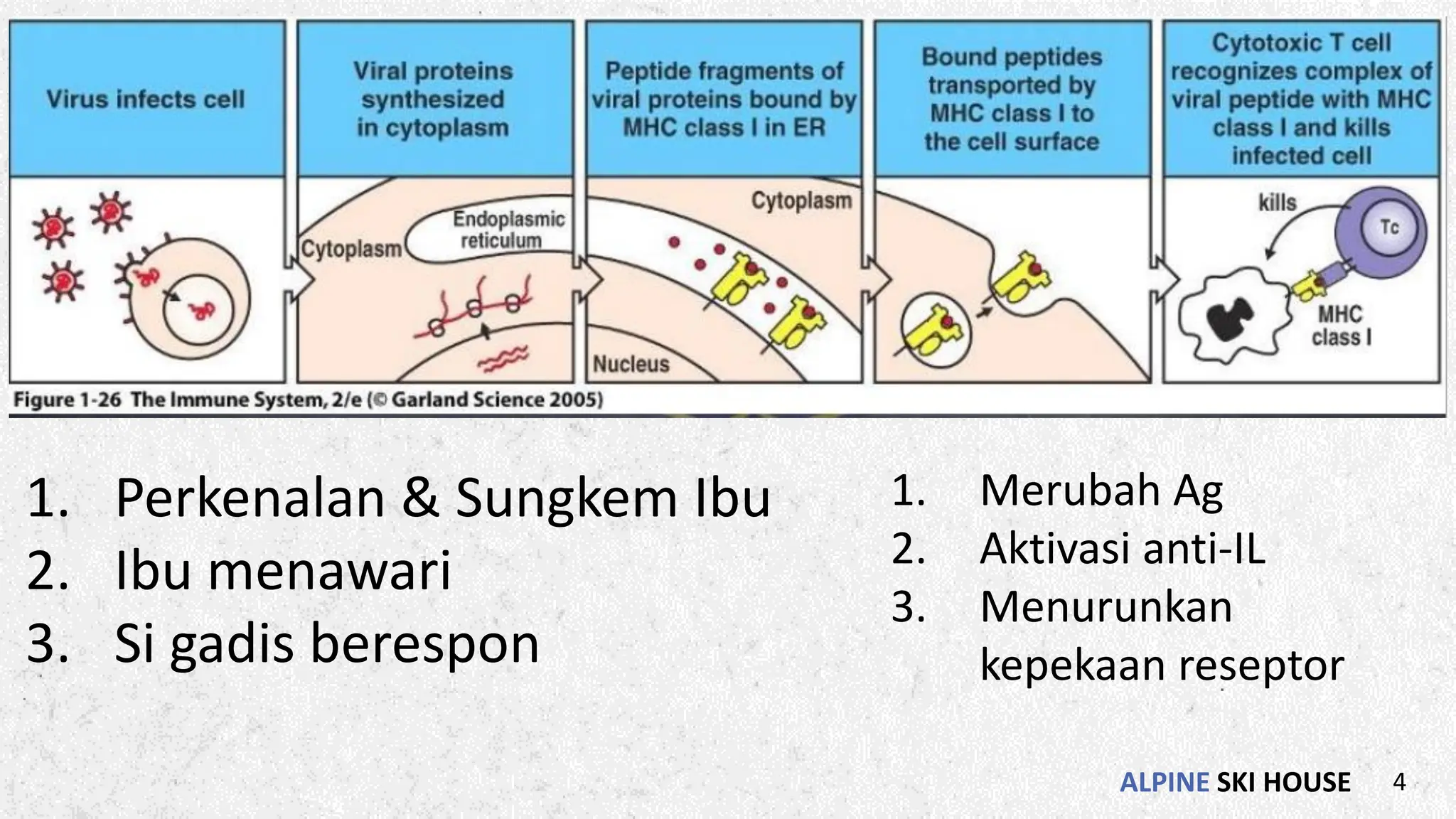 basic immunology for medical student.pdf