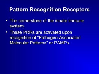Basic immunology from the dermatologic point of view (2) | PPT