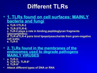 Basic immunology from the dermatologic point of view (2) | PPT