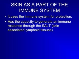 Basic immunology from the dermatologic point of view (2) | PPT