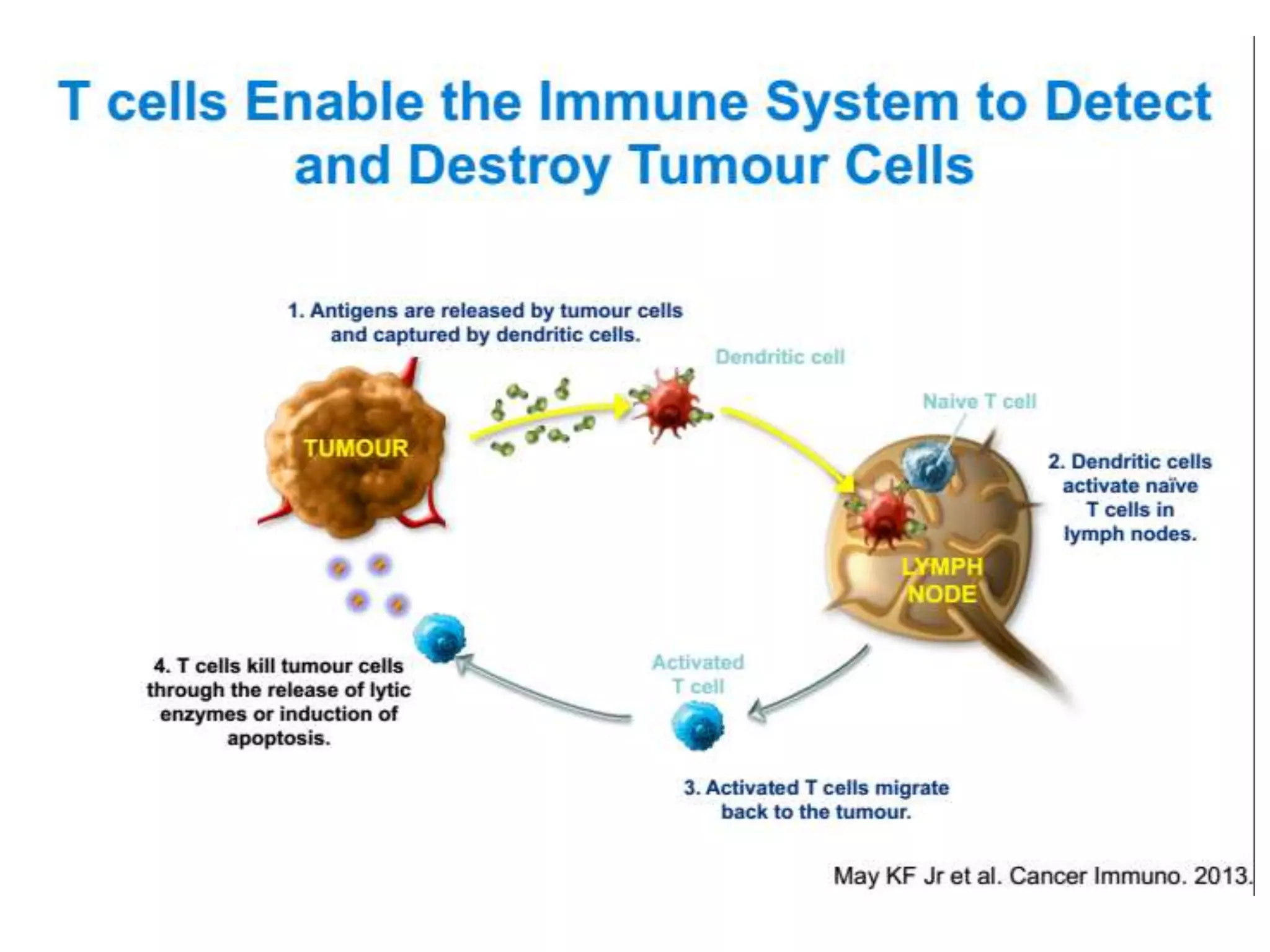 Basic immunotherapy | PPTX
