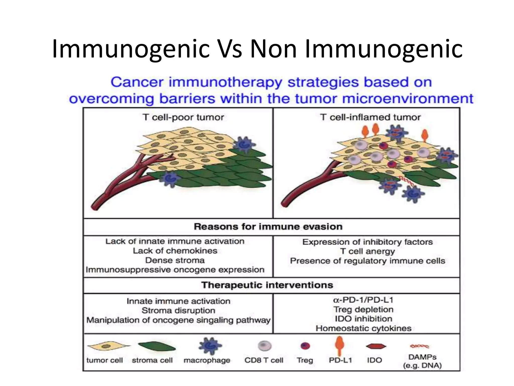 Basic immunotherapy | PPTX