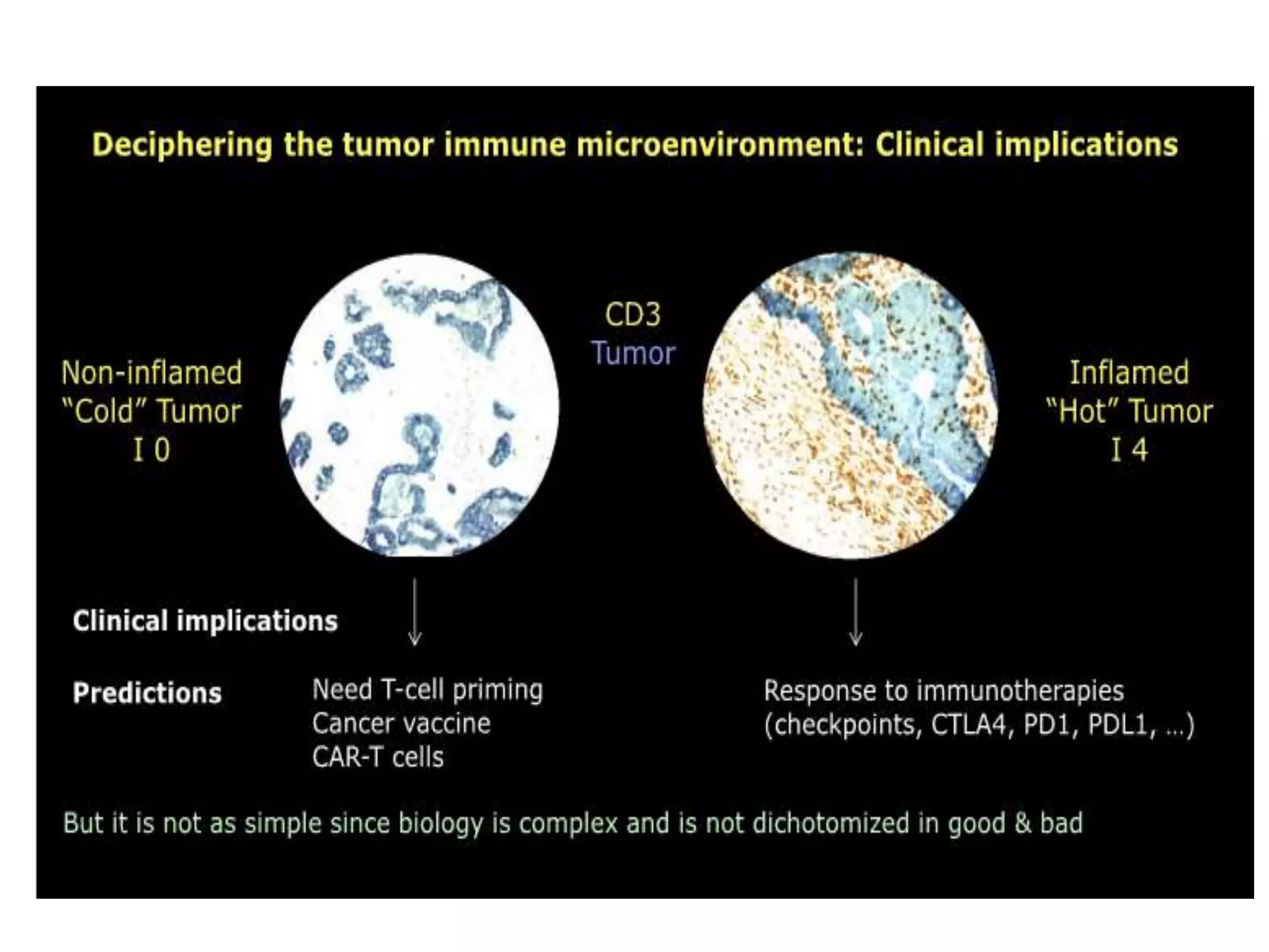 Basic immunotherapy | PPTX