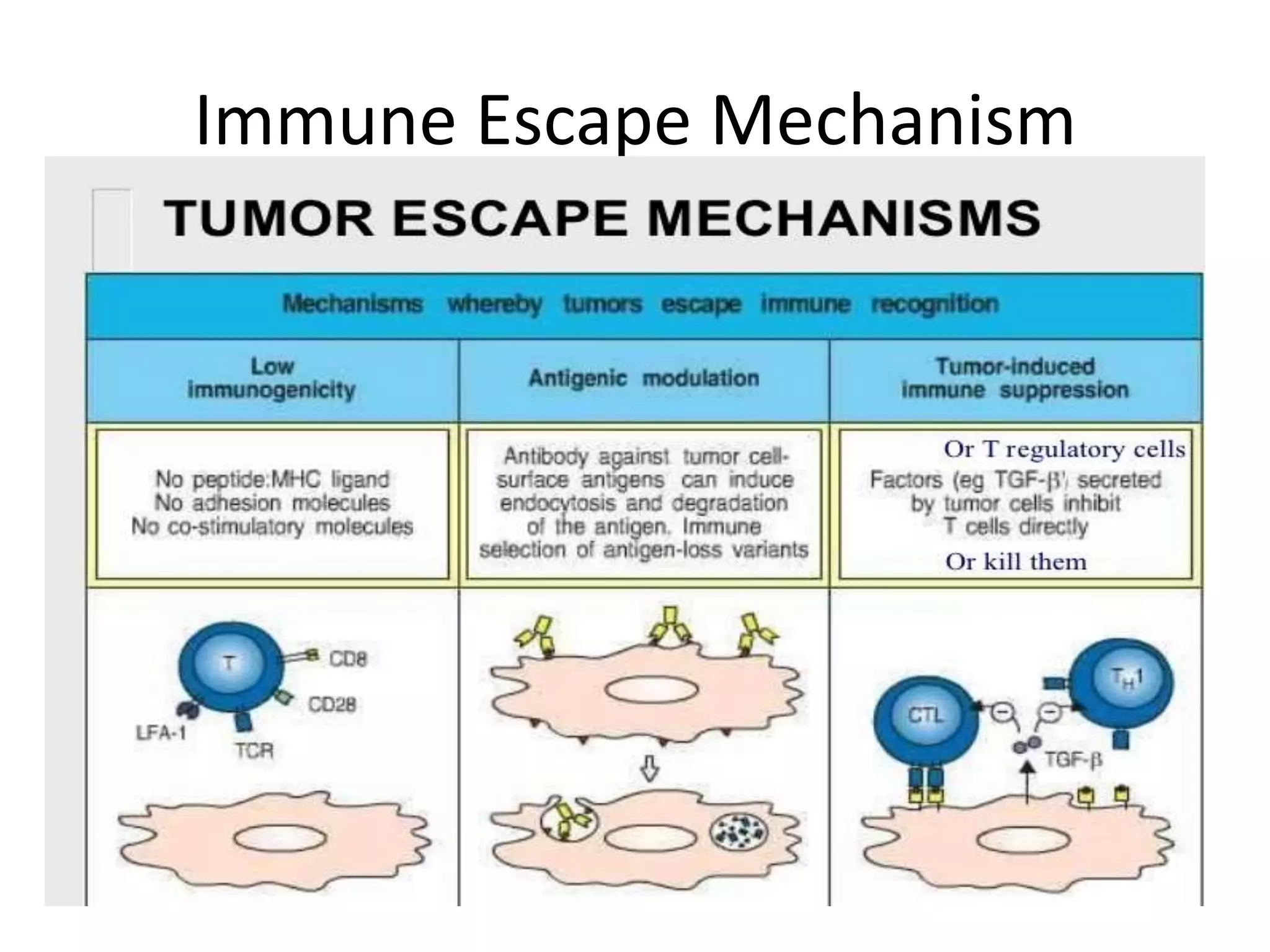 Basic immunotherapy | PPTX
