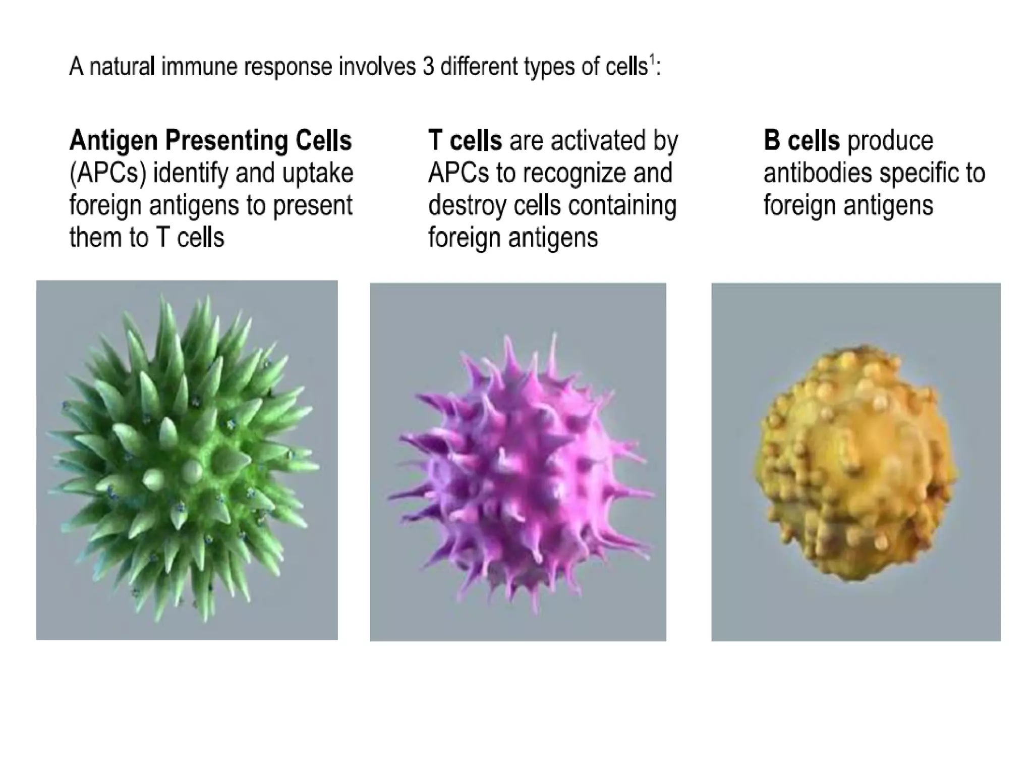 Basic immunotherapy | PPTX