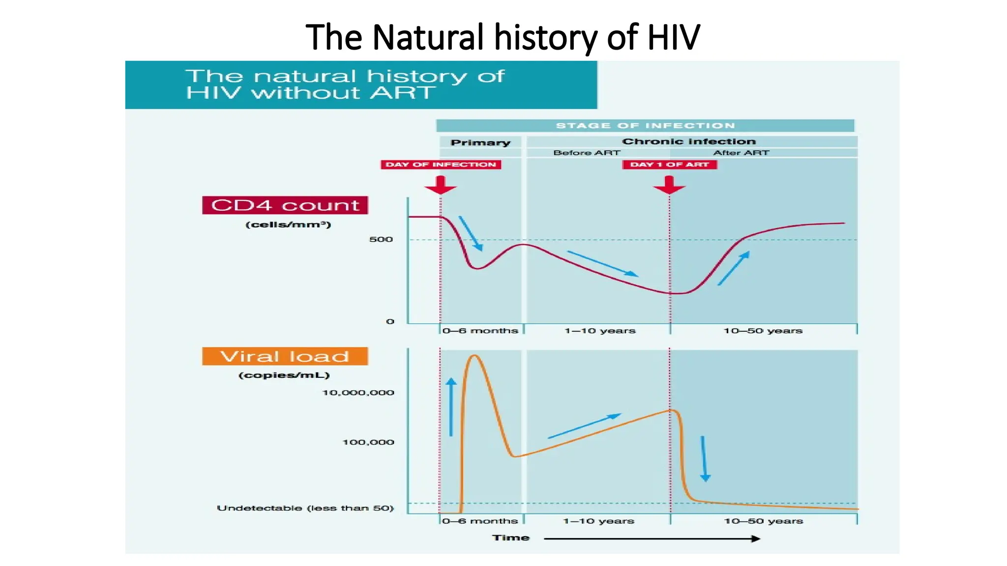 BASIC INFORMATION ON HIV INFECTION .pptx
