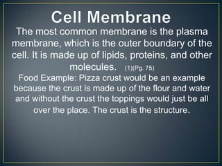 Basic ingredients for cooking food | PPTX