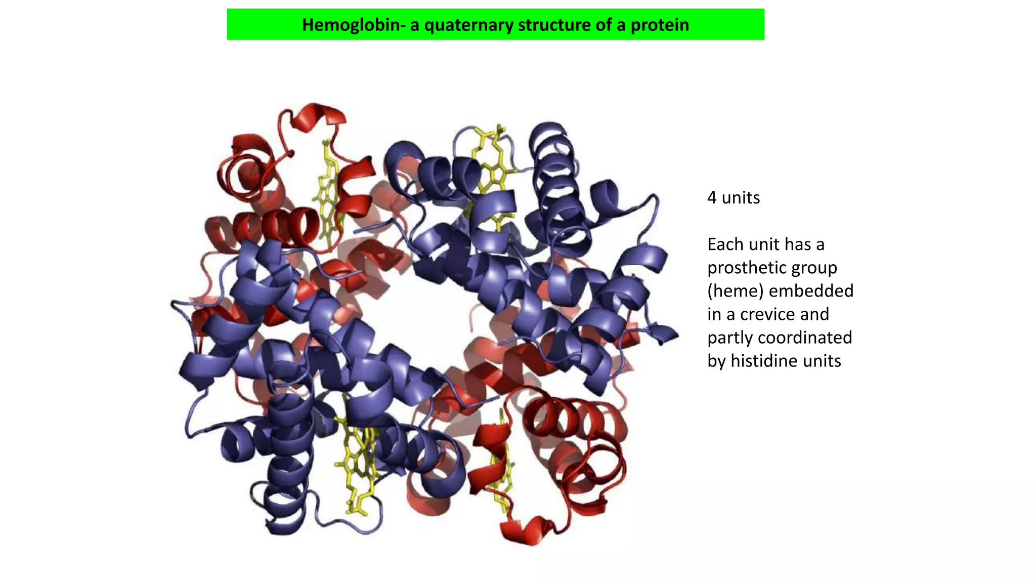 Basic Inorganic chemistry part 3 Bioinorganic chemistry (1).pptx