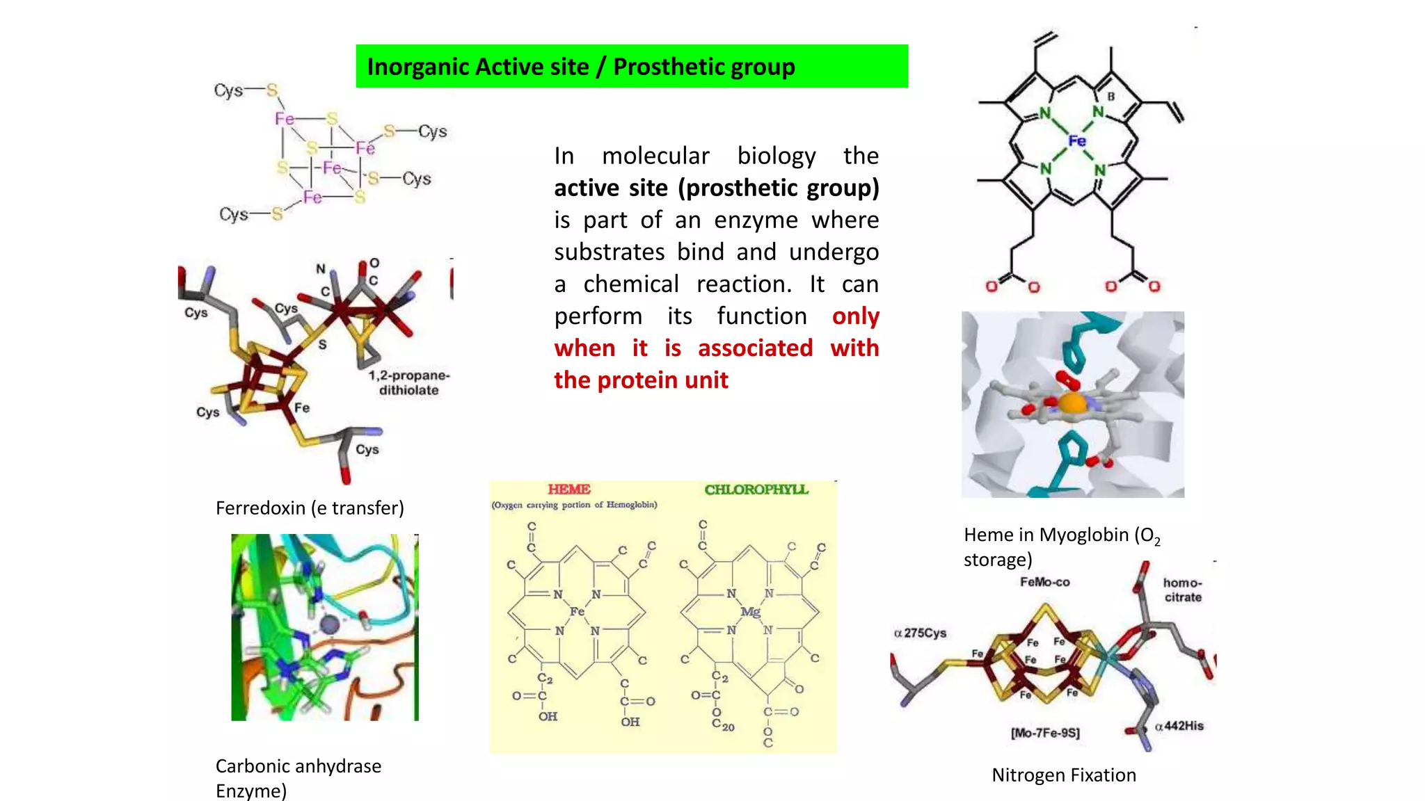 Basic Inorganic chemistry part 3 Bioinorganic chemistry (1).pptx