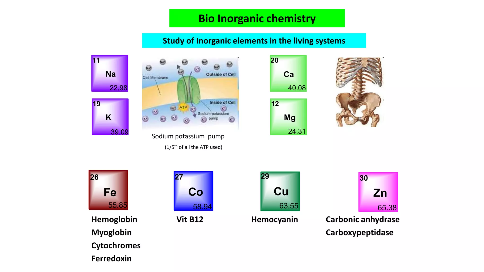 Basic Inorganic chemistry part 3 Bioinorganic chemistry (1).pptx