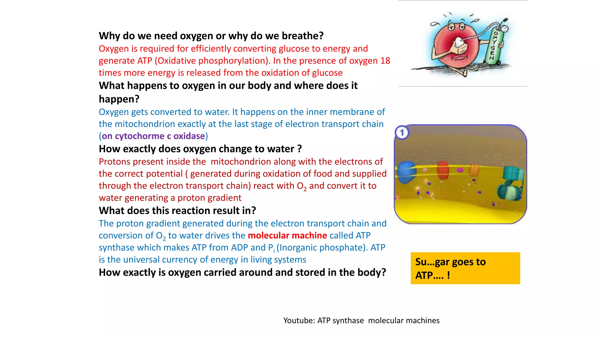 Basic Inorganic chemistry part 3 Bioinorganic chemistry (1).pptx