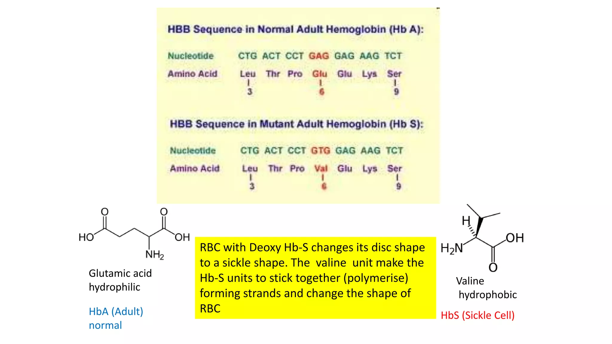 Basic Inorganic chemistry part 3 Bioinorganic chemistry (1).pptx