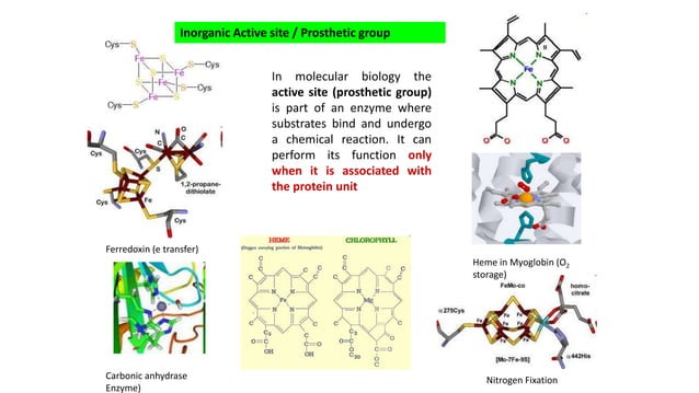 Basic Inorganic chemistry part 3 Bioinorganic chemistry (1).pptx