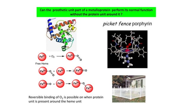 Basic Inorganic chemistry part 3 Bioinorganic chemistry (1).pptx