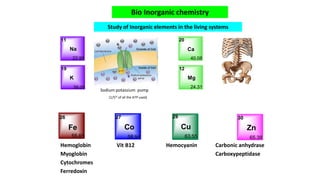 Basic Inorganic chemistry part 3 Bioinorganic chemistry (1).pptx